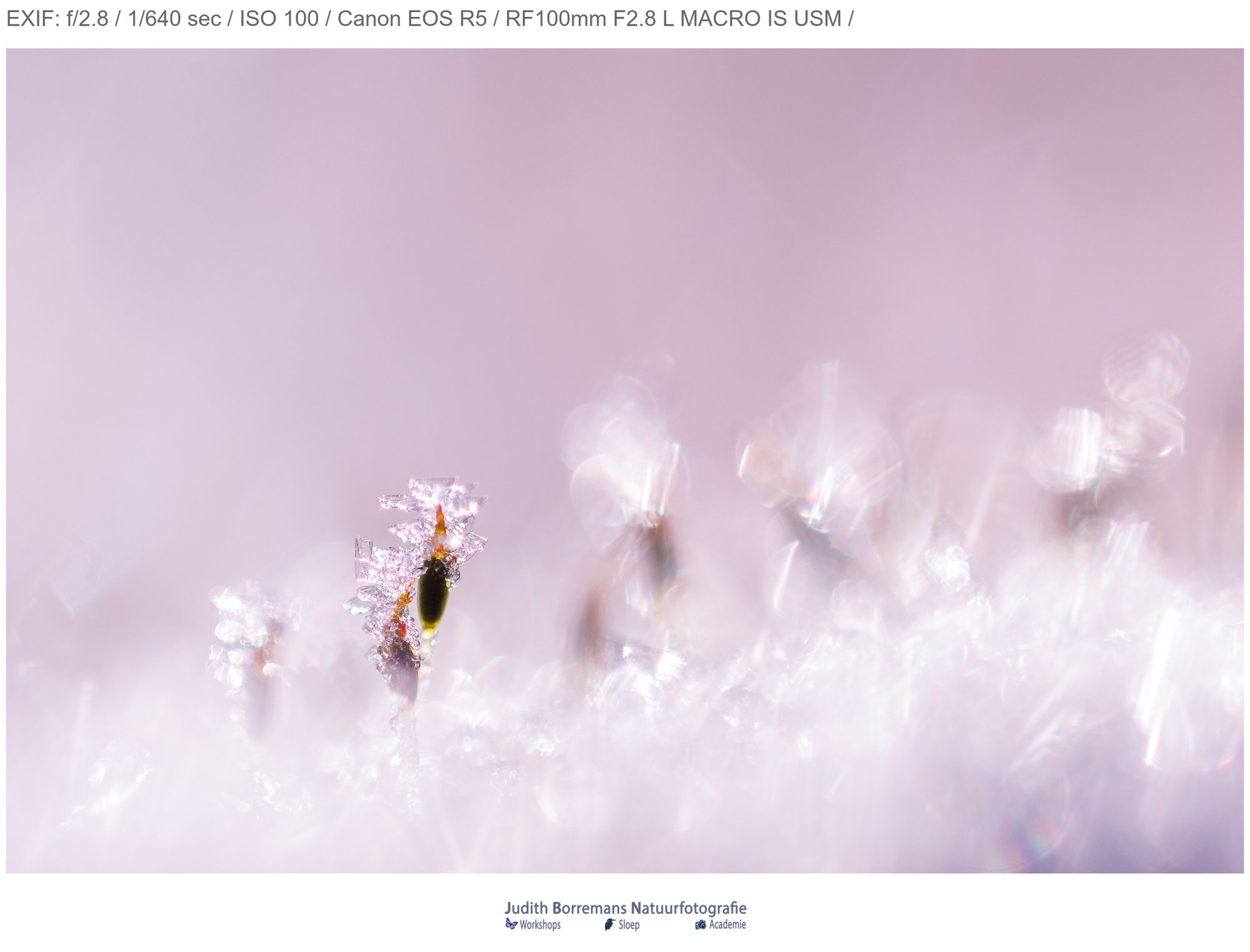 Inspiratiefoto’s – JBN academie